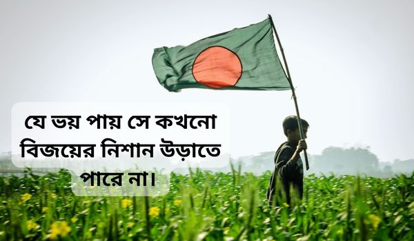 বিজয় দিবসের উক্তি, ক্যাপশন, ছন্দ, শুভেচ্ছা ও কবিতা - Info Poka
