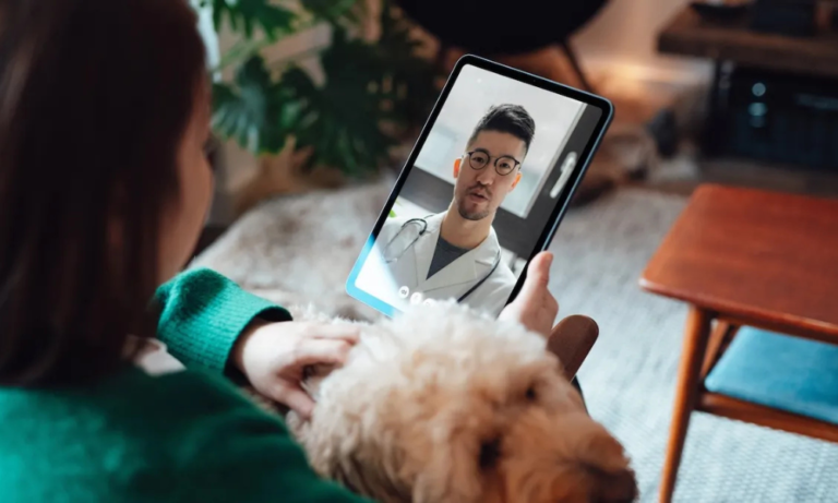 Mochi Health Cost Guide 2025: Pricing, Plans & Savings Tips - Info Poka